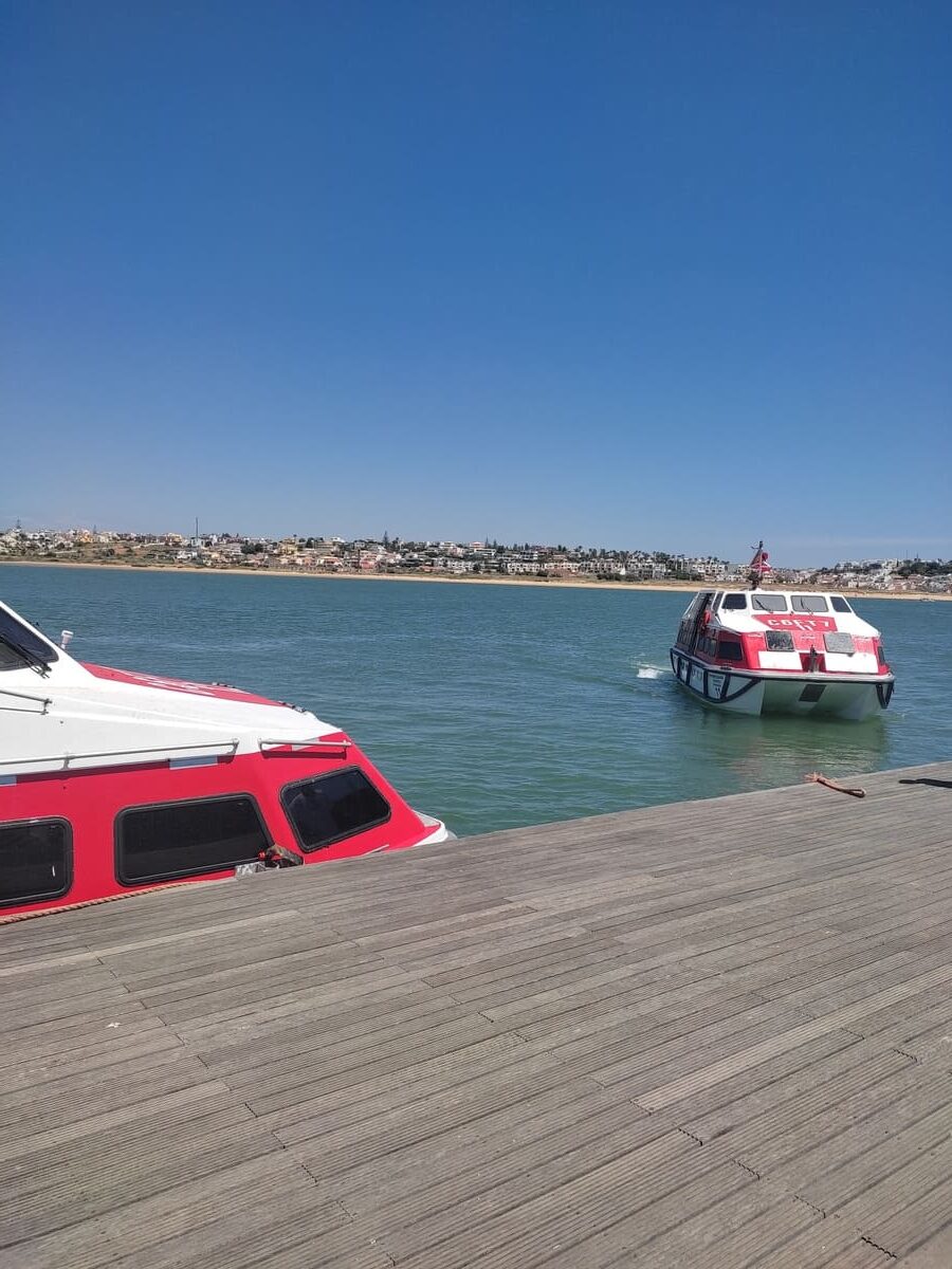 WHAT IS A TENDER PORT?